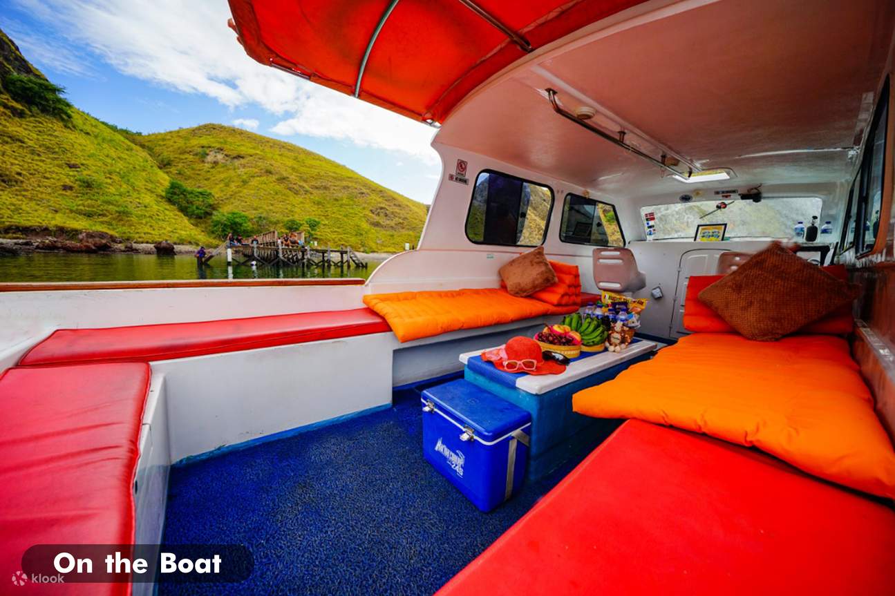 Private Full Day Komodo Speedboat Tour dari Labuan Bajo dengan RRI ...