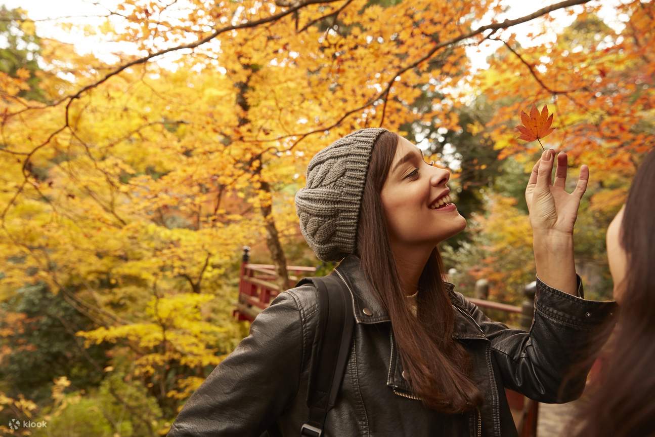 Snap photo shooting experience (Nara) - Klook