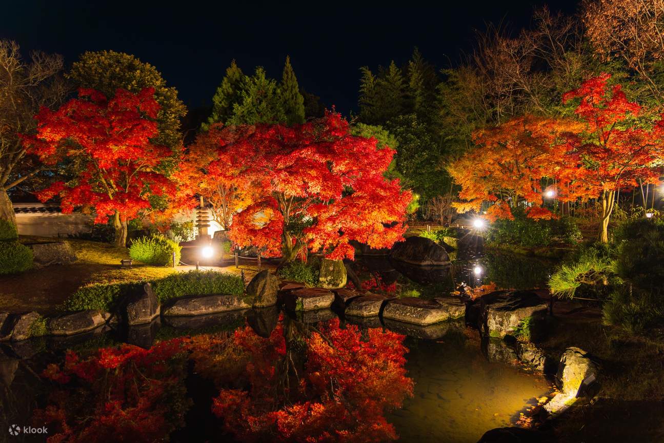 World Heritage Himeji Castle &Traditional Sake Breweries Tour - Klook