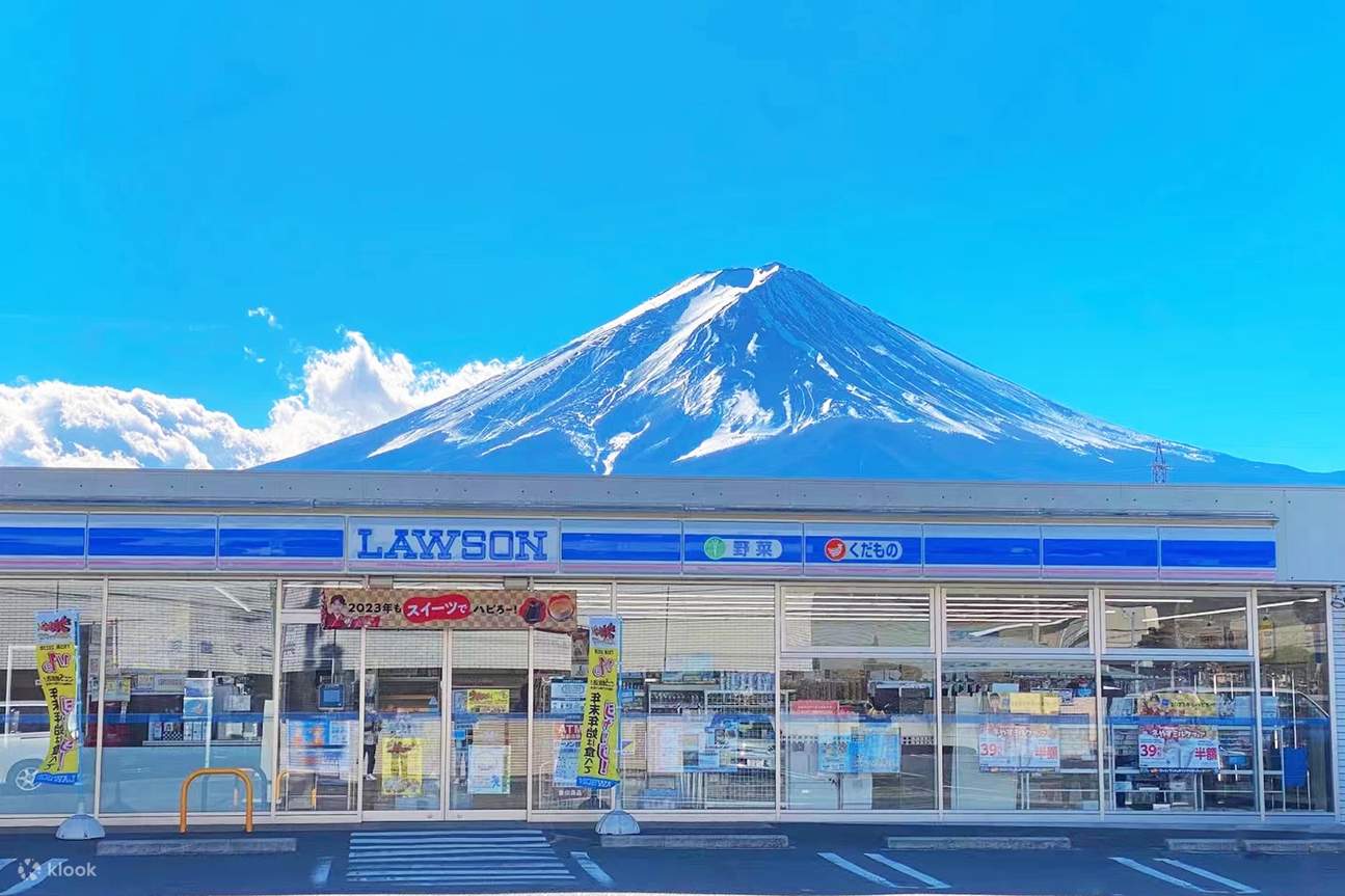 Mount Fuji Lake Kawaguchi Cable Car & Matcha Experience Day Trip ...