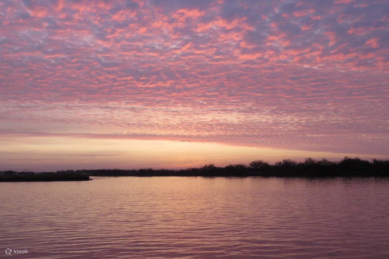 Sunset Wetland 2-Hour Cruise in Darwin - Klook