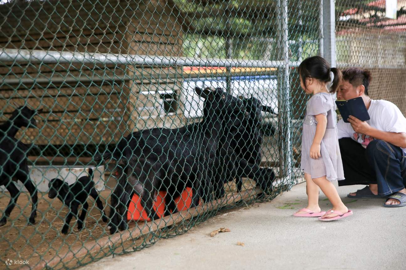 Tainan Tsou-Ma-Lai Farm tickets - Klook Verenigde Staten