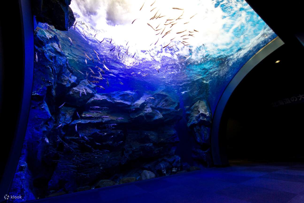 Experience midwinter yakiniku in Kitami and tour the aquarium and ...