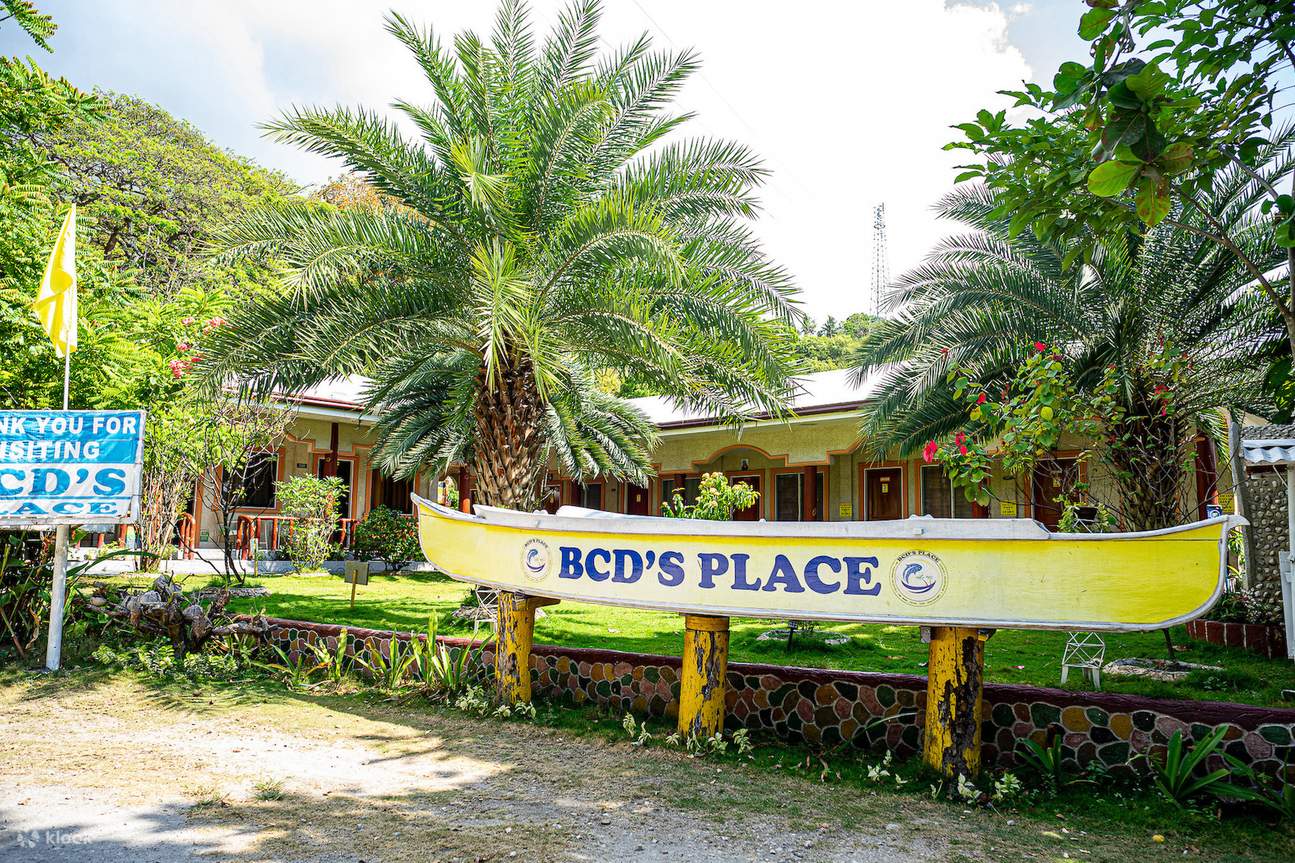 Whale Shark Snorkeling & Kawasan Falls Canyoning Tour - Klook Amerika ...