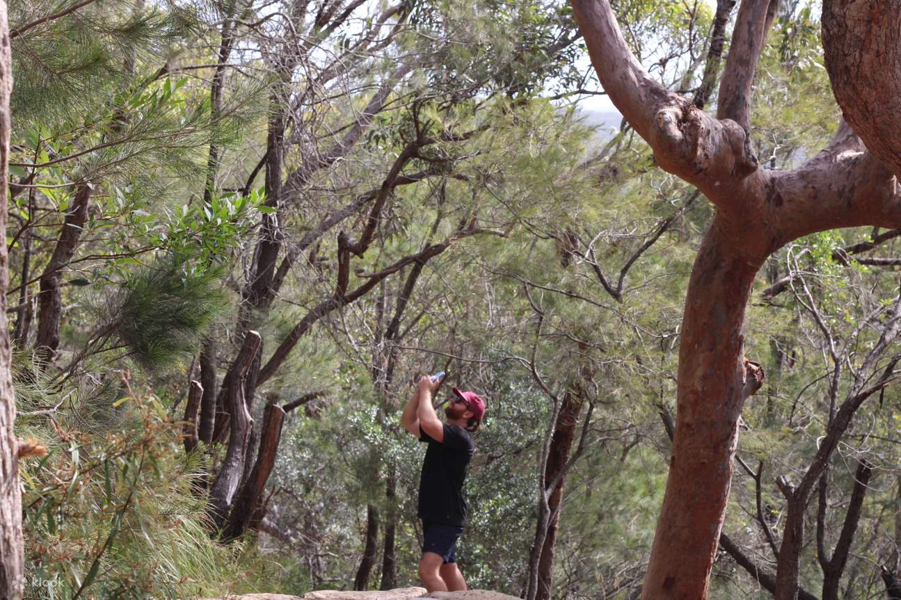 Port Stephens Day Tour from Newcastle - Klook