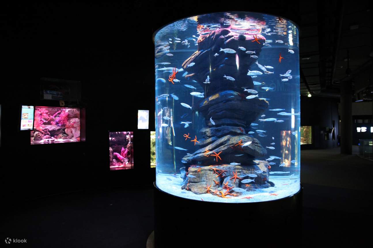 预订巴黎水族馆门票,观赏10000多种海洋生物 Klook客路