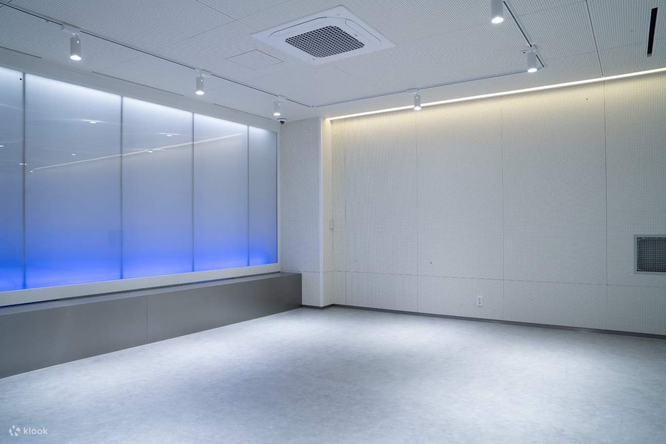 Ktown4u K-pop Dance One Day Class + Video Shooting Experience - Klook ...