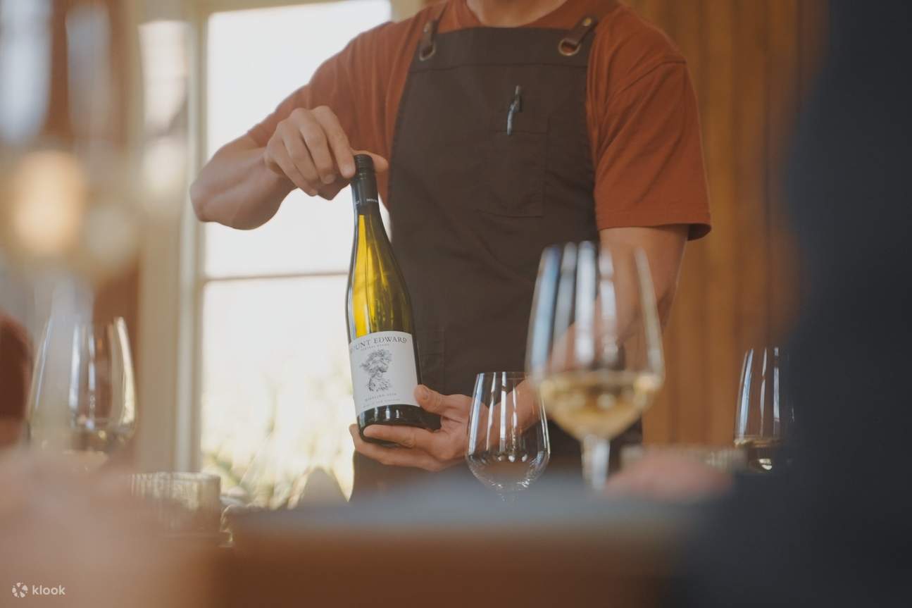Queenstown Helicopter Wine Tasting Tour - Klook