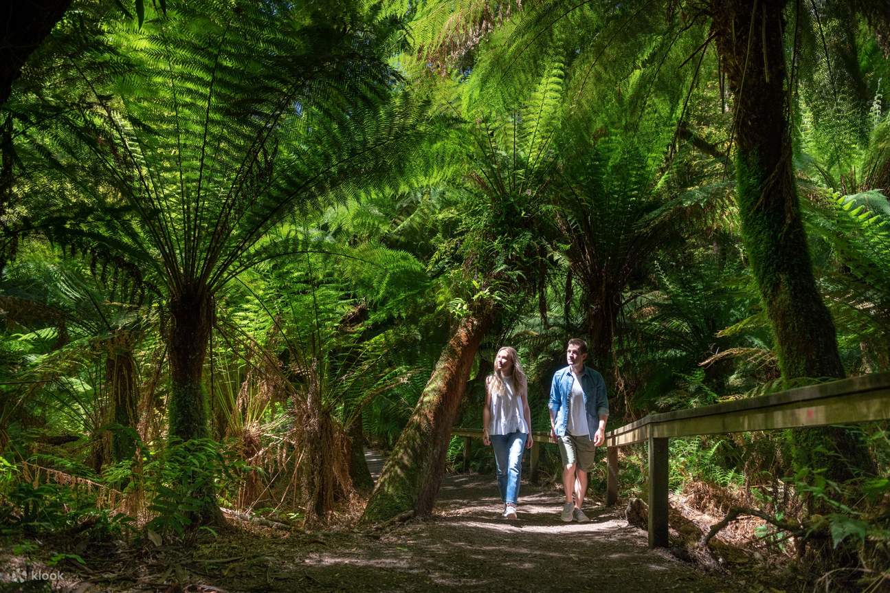Great Ocean Road and 12 Apostles Day Tour from Melbourne - Klook Singapore
