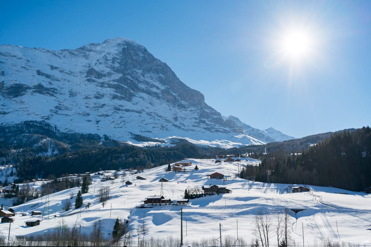 Kereta luncur dan Tubing di Grindelwald Bodmi Arena - Klook Indonesia
