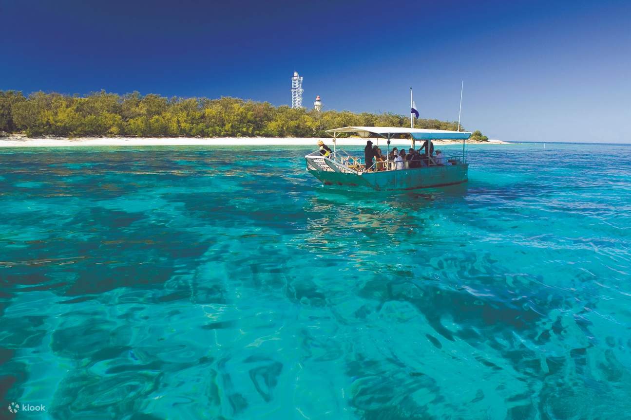 Lady Elliot Island Great Barrier Reef Day Tour from Gold Coast - Klook ...