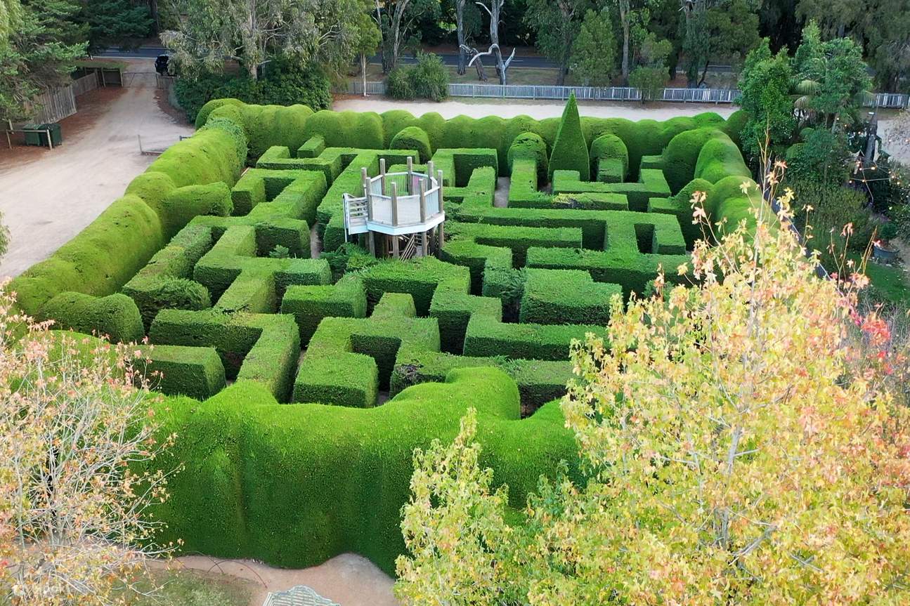 Ashcombe Maze & Lavender Gardens ticket - Klook Australia