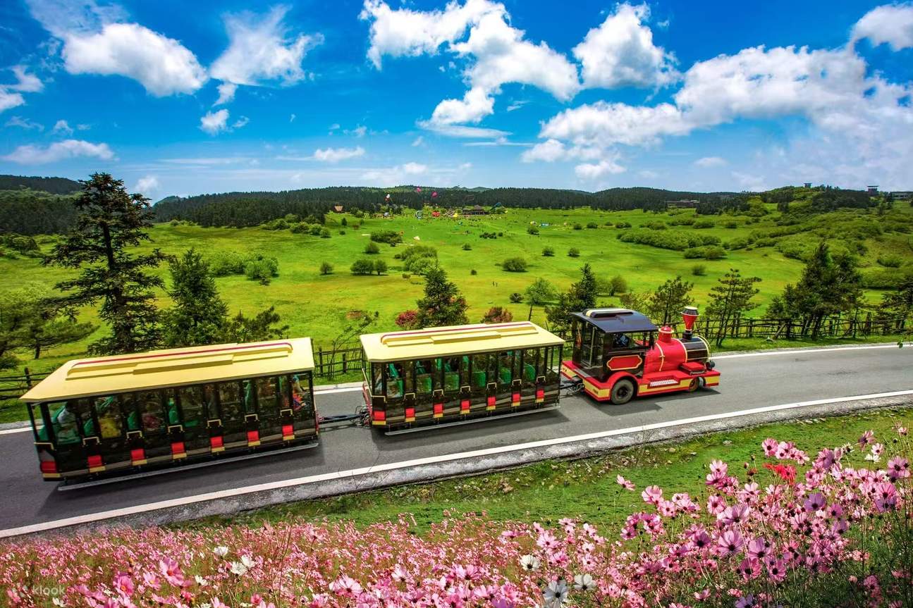 Chongqing Wulong Tiansheng Three Bridges High-end Pure Play 2-Day Tour ...