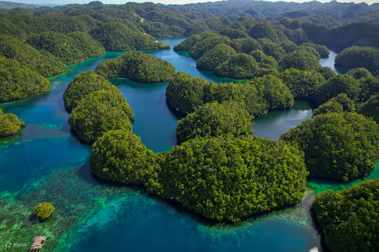 Sohoton Cove and Jellyfish Sanctuary Private Day Tour - Klook Malaysia