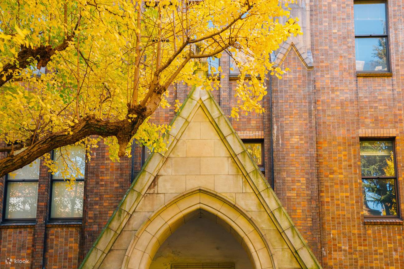 Tokyo City, The University of Tokyo Alumni-Led Walking Tour - Klook ...
