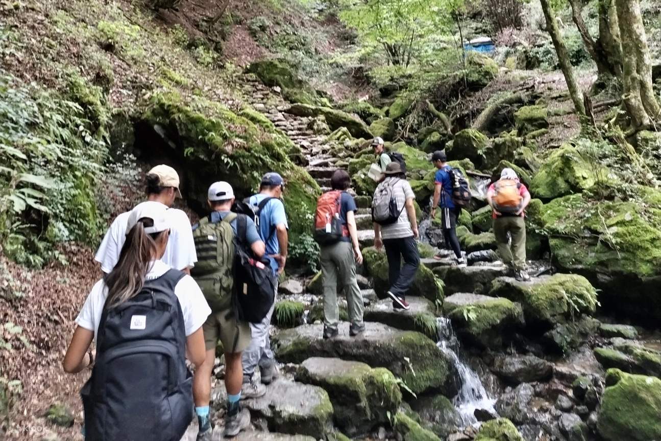 Ome City, Mt. Mitake One Day Hiking Tour - Klook