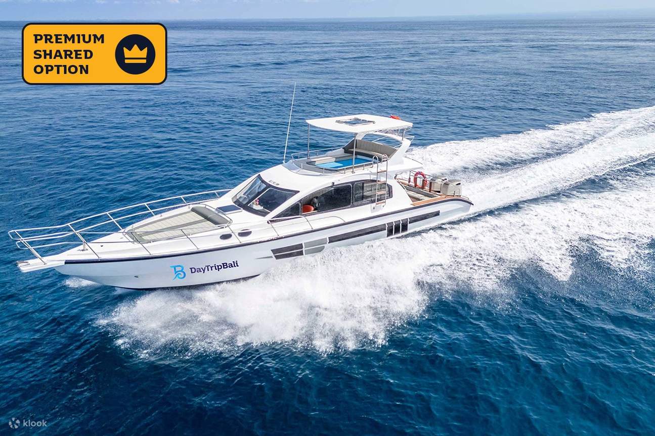 Nusa Penida with Private Boat Tour - Klook