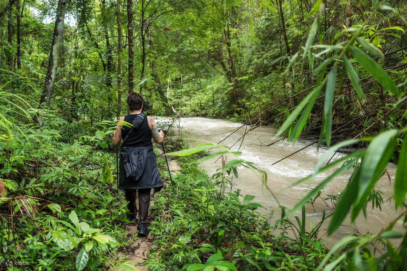 Chiang Mai Wat Luang Khun Win & Waterfall Full Day Hiking Adventure ...