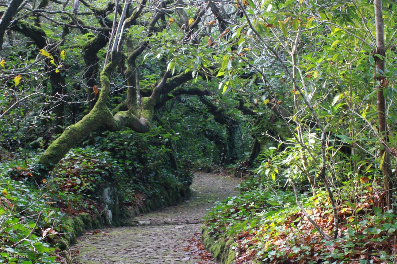 Sintra and Cascais Full-Day Tour from Lisbon - Klook Malaysia