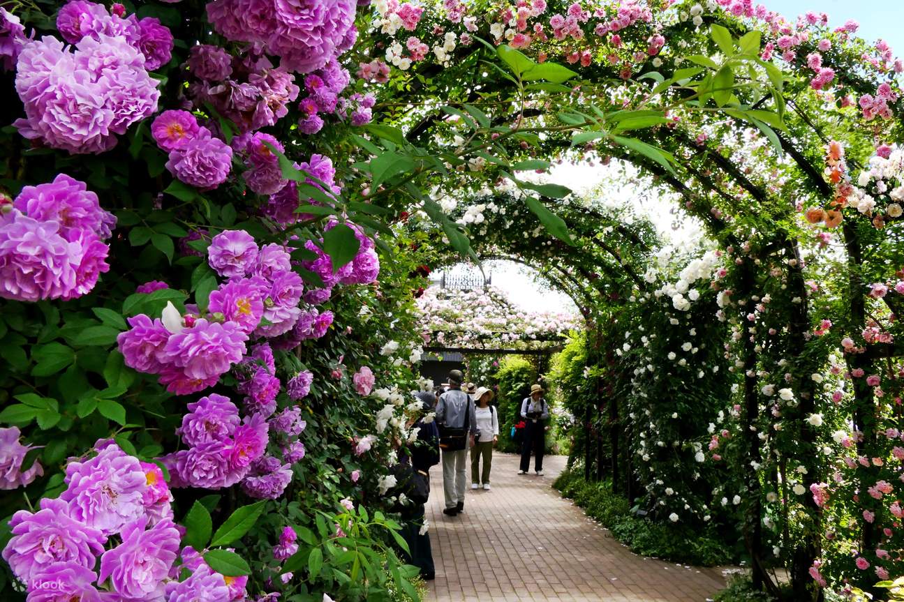 Tur Pribadi Satu Hari Yokohama Kanagawa dari Tokyo | Penjemputan di ...