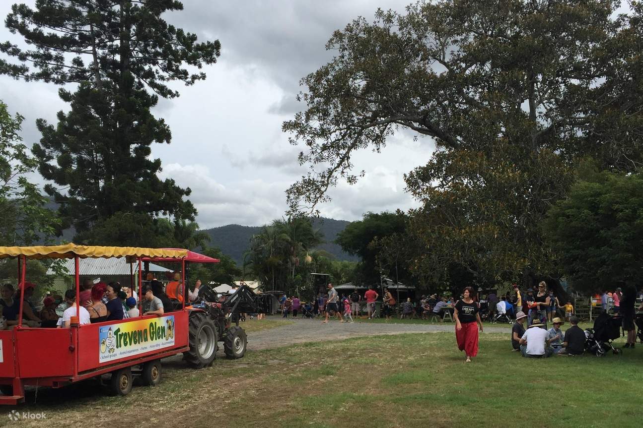 Farm Animals and Tour in Brisbane - Klook
