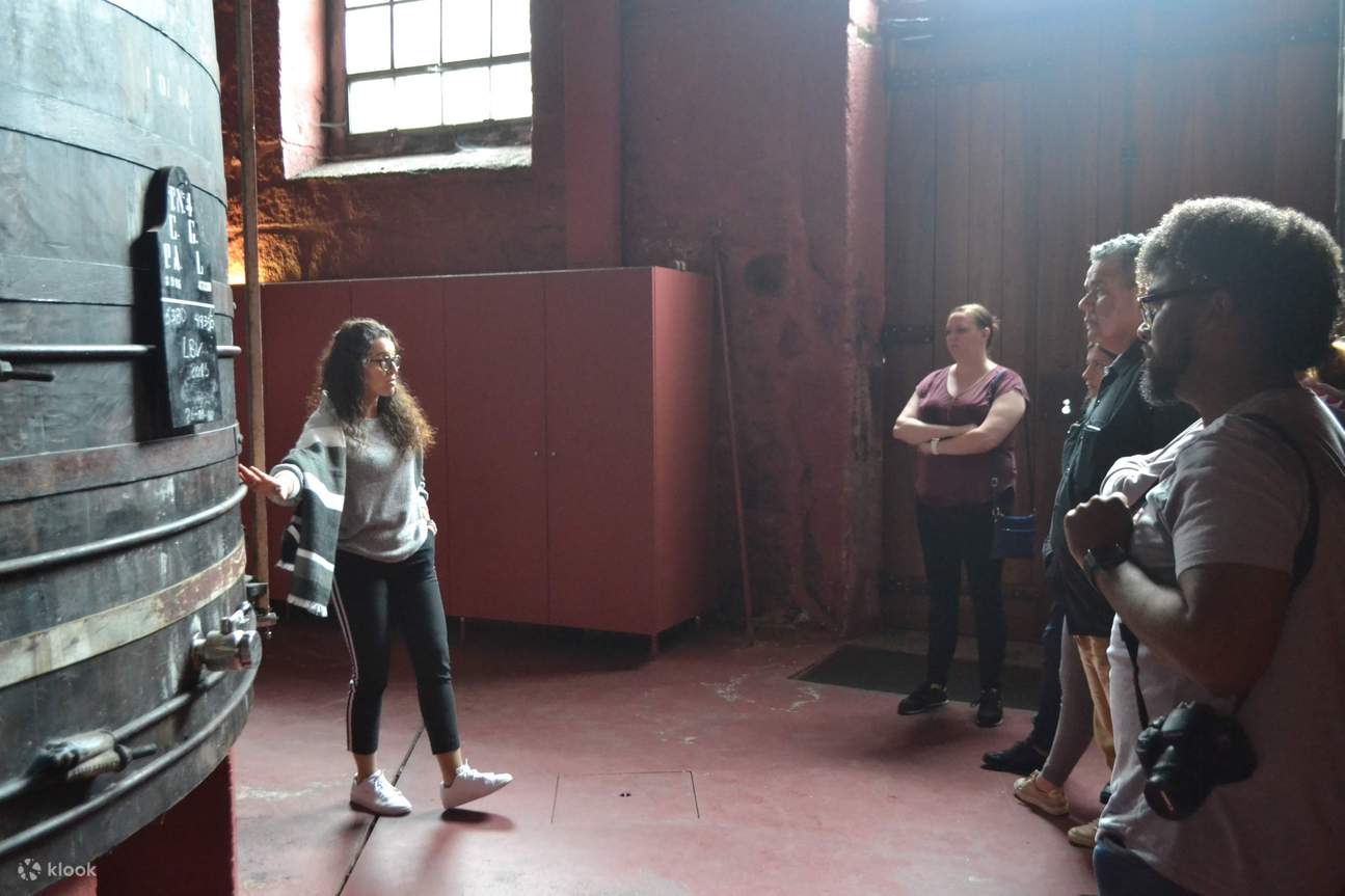 Port and Douro Half Day Wines Tasting Tour - Klook