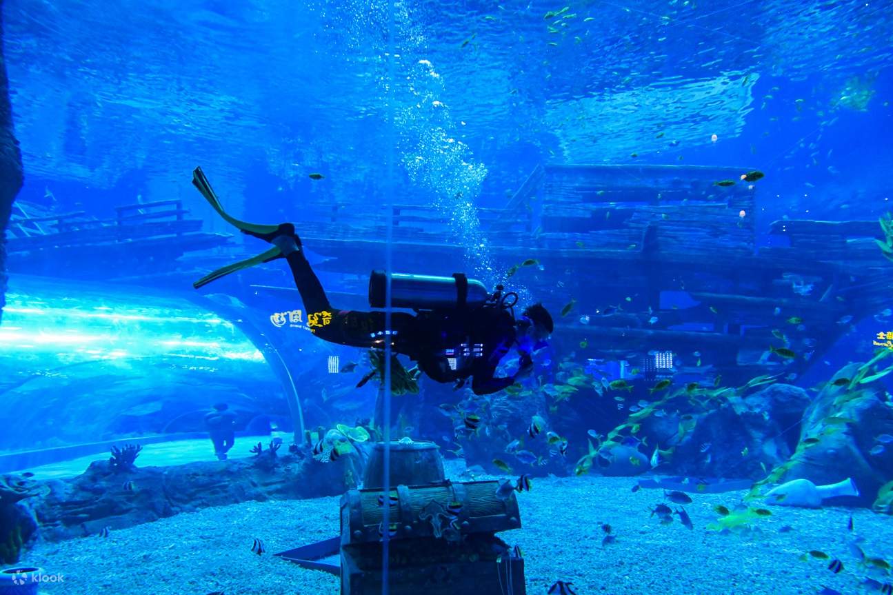 Wuxi Sunac Sea World - Klook Malaysia