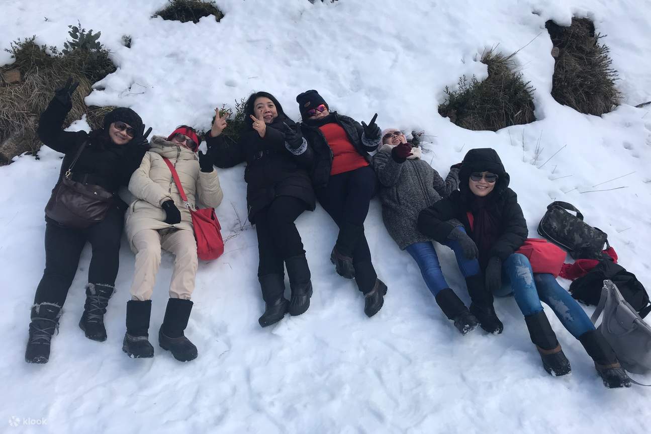 Geführte Mount Buller-Tour ab Melbourne - Klook, Vereinigte Staaten