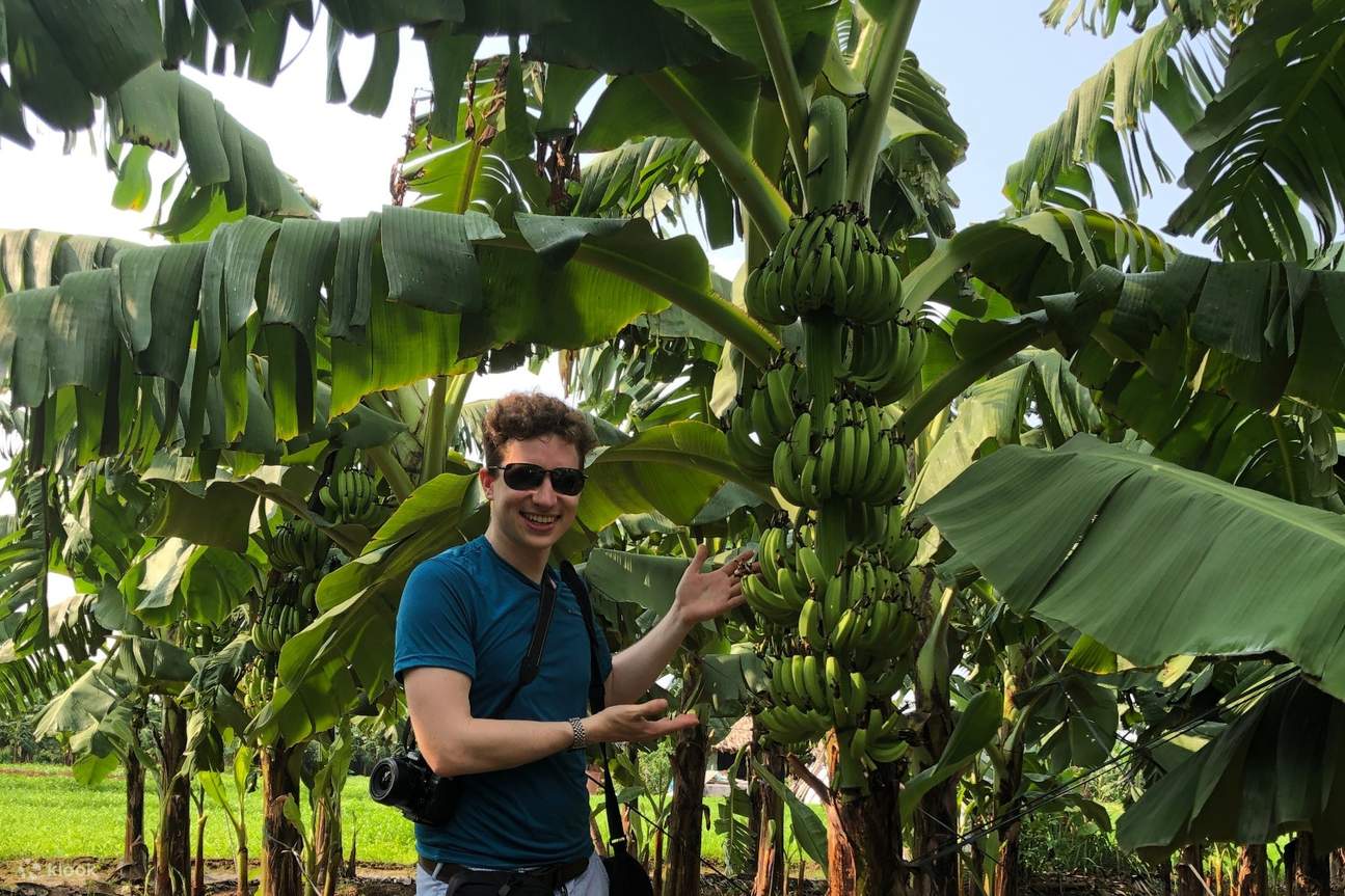 The Hidden Gems of Hanoi Tour with Banana Farm Visit - Klook