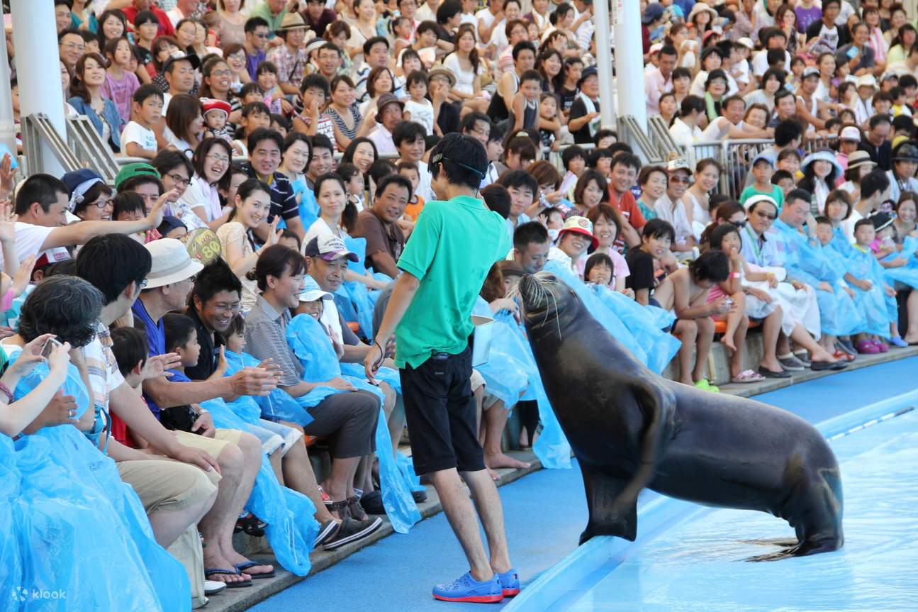 Minamichita Beach Land Admission in Aichi - Klook
