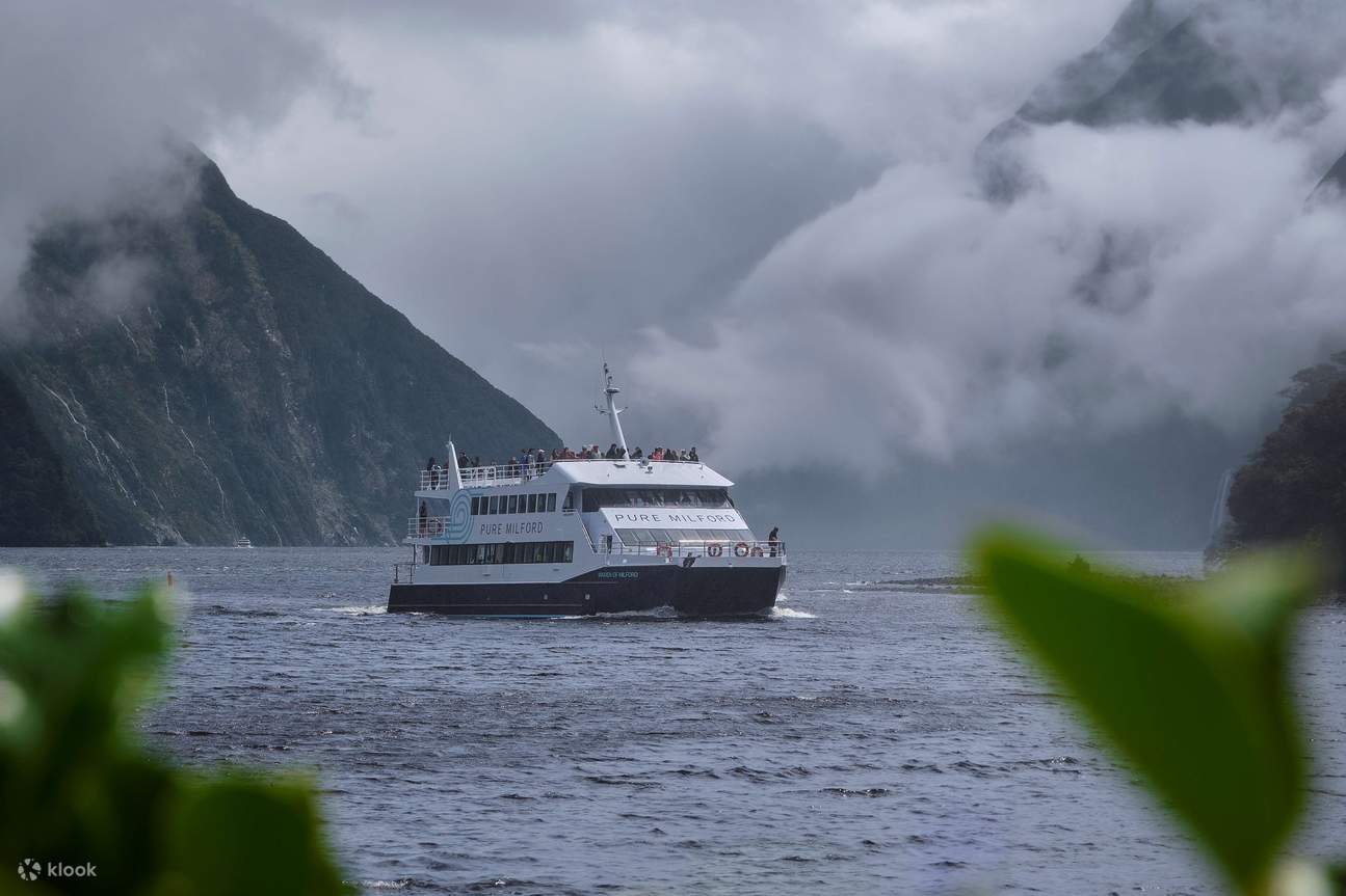 Pure Milford Premium Milford Sound Cruise - Klook