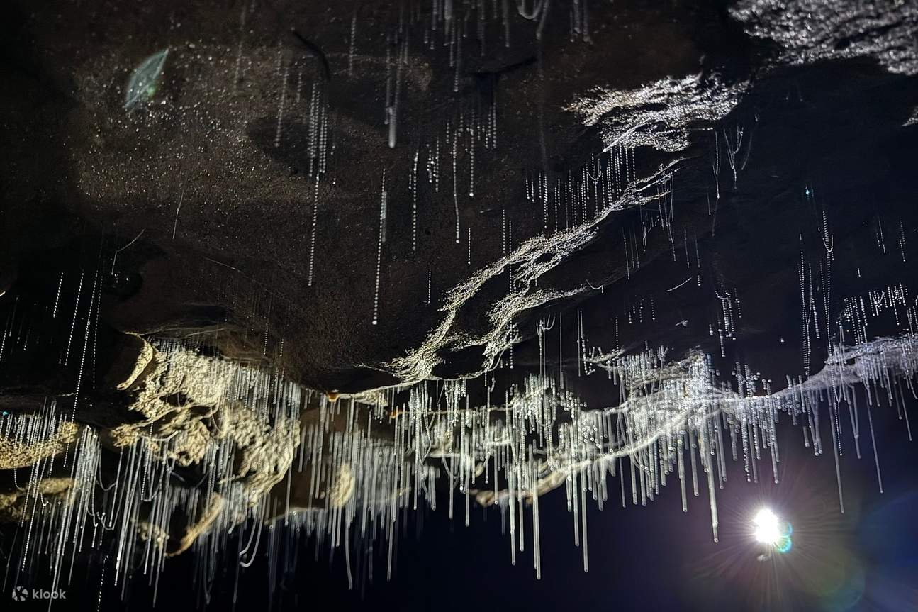 Lawatan Kumpulan Kecil Waitomo Glowworm dan Penjelajah Gua Dari ...