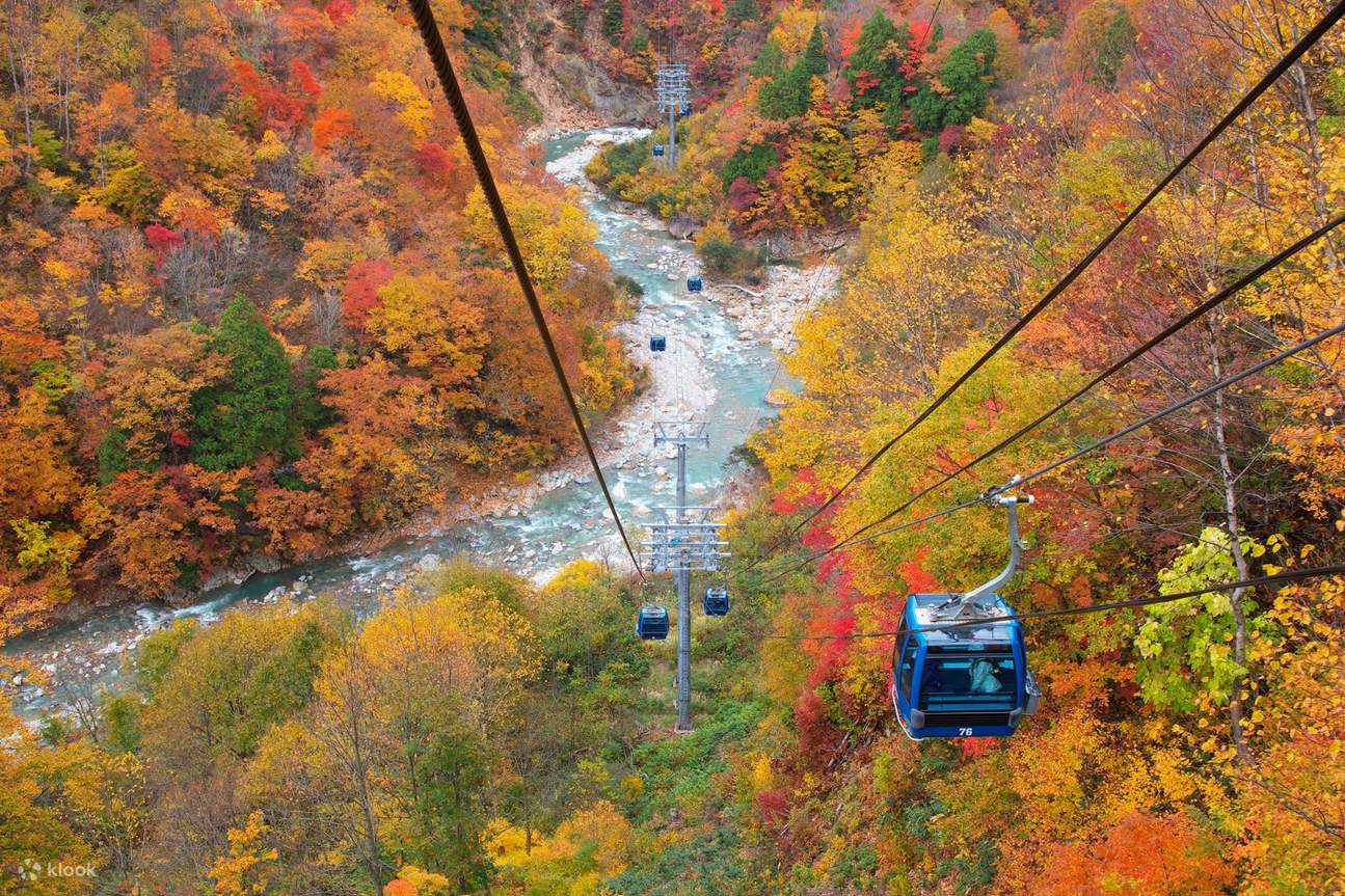 Bus Transfer between Echigo Yuzawa Station and Naeba Dragondola - Klook ...