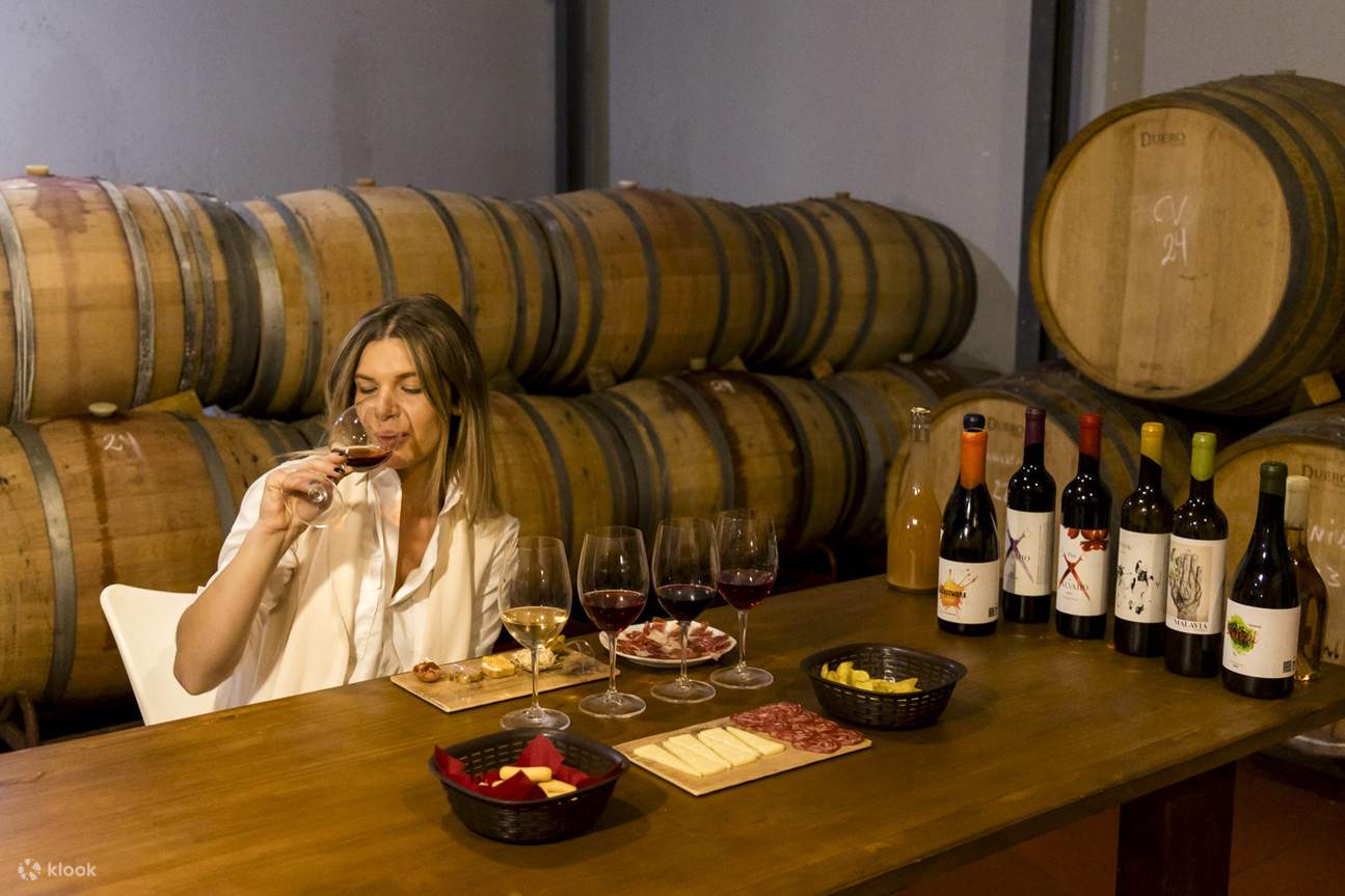 TOP WINE TOUR- Vineyard & cellar visit + 6 top wines + tapas - Klook ...