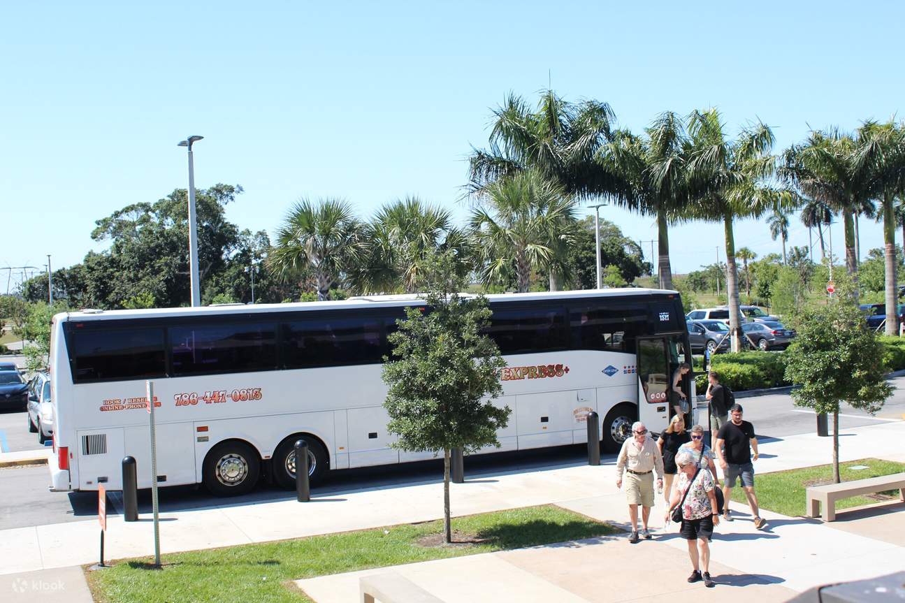 Everglades Holiday Park Tour with Transportation - Klook