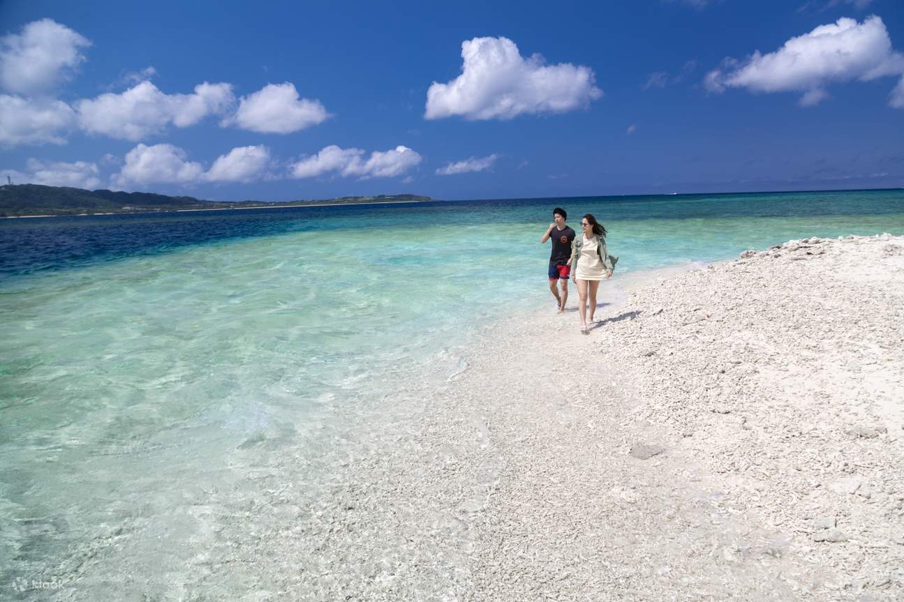Iriomote Island Barasu Island Snorkeling & Mangrove SUP or Canoe 1-Day ...