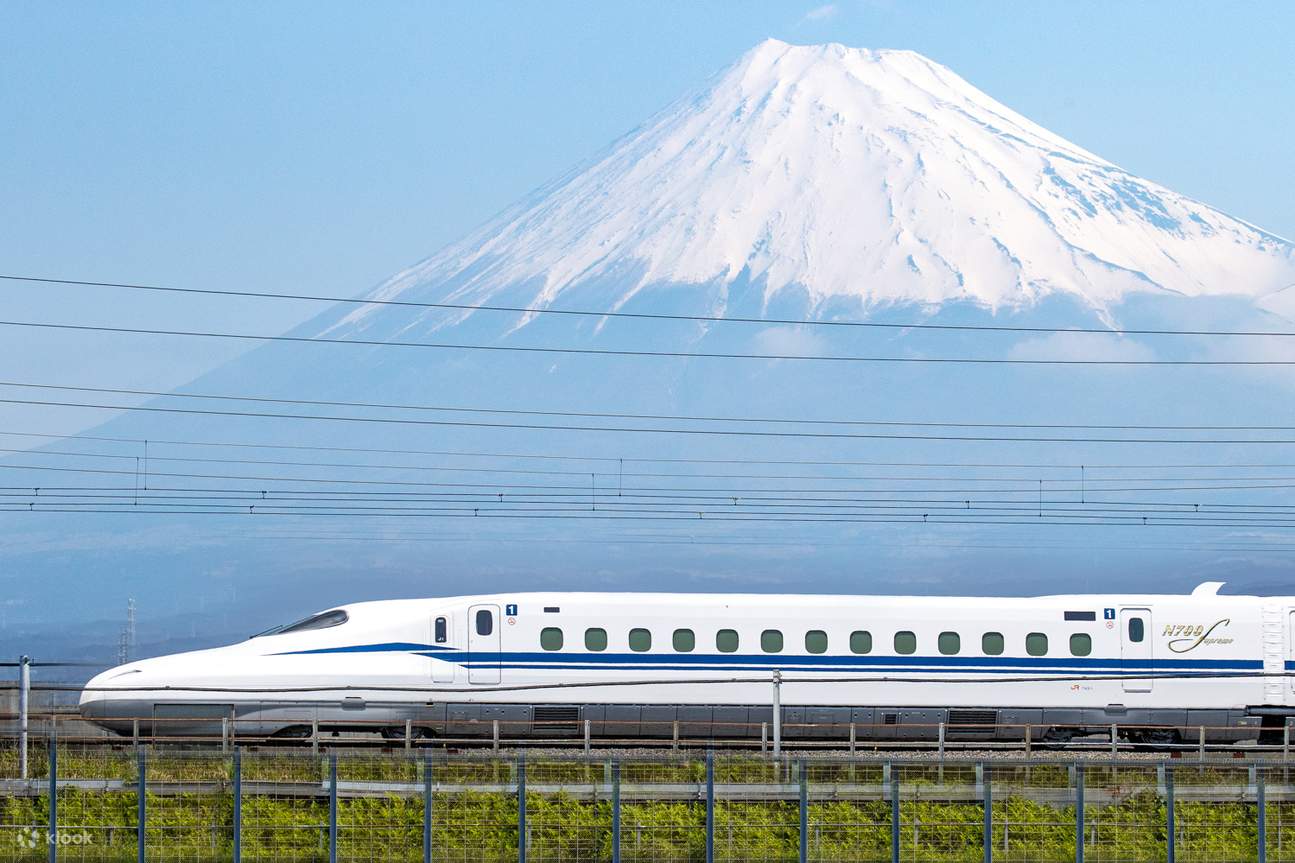 Tur Pertanian Wasabi Mt. Fuji & Shizuoka dengan Kereta Hokusai ...