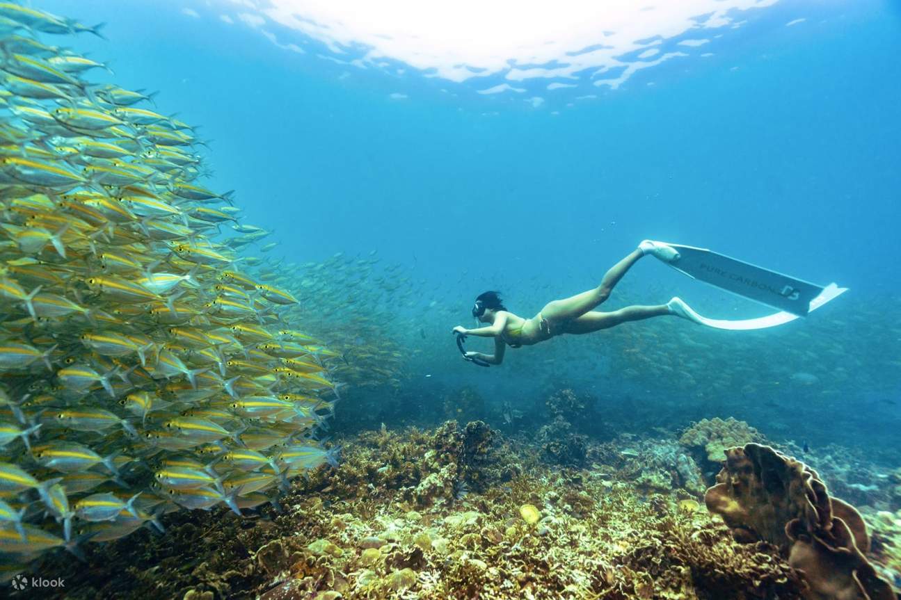 Join In Snorkeling Adventure Around Koh Tao And Koh Nangyuan in ...