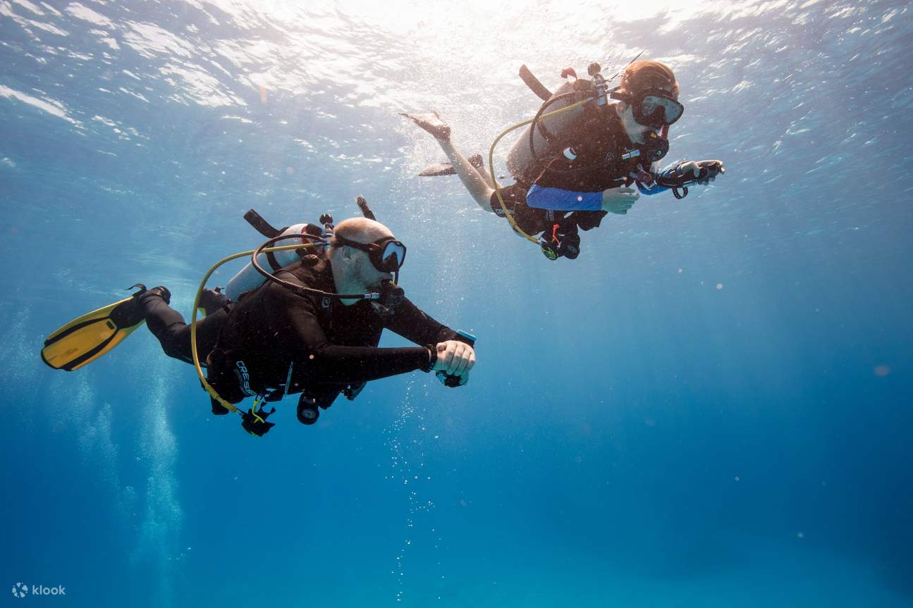 Beginners Scuba Diving Experience in Fujairah - Klook