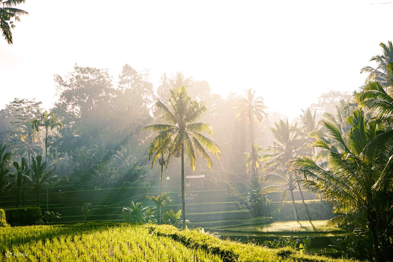 Tour giornaliero dei migliori spot Instagram di Bali con il fotografo ...