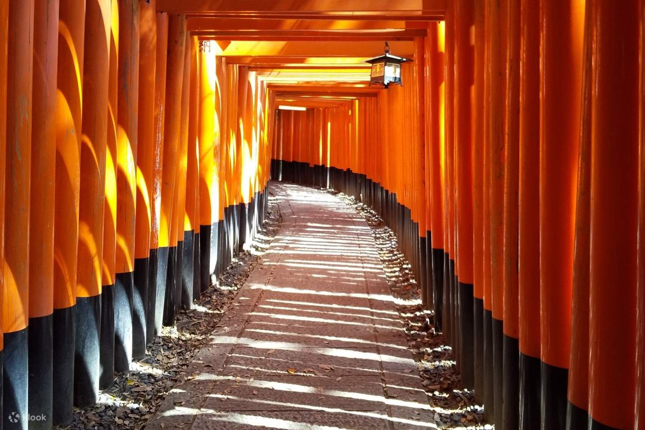 Uji Byodoin Temple, Fushimi Inari Shrine, Katsuo Temple, and Minoo Falls Day Tour (Depart from ...