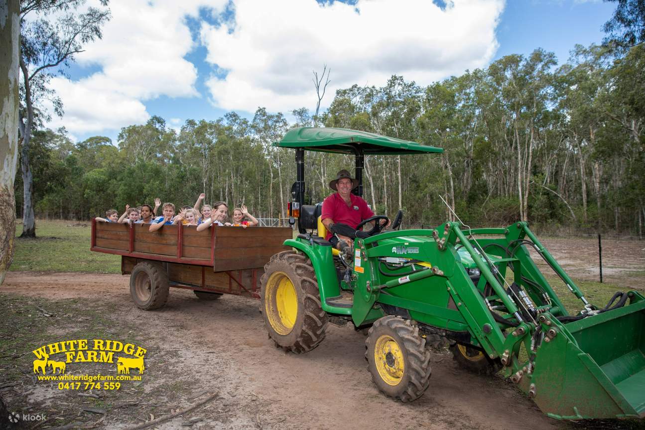 White Ridge Farm Ticket in Queensland - Klook