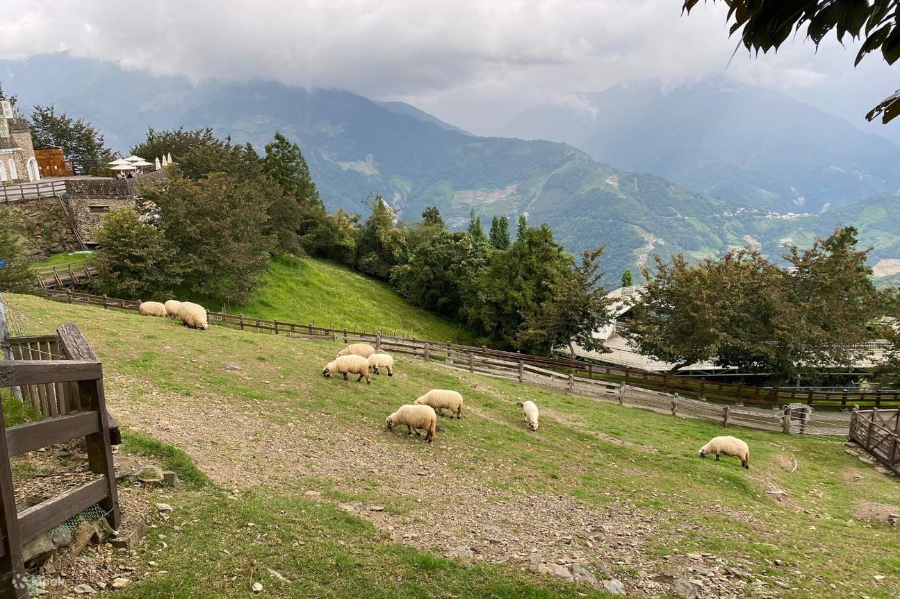 Sun Moon Lake & Cingjing Farm Day Tour (Taichung City, Taichung High Speed Rail Departure ...