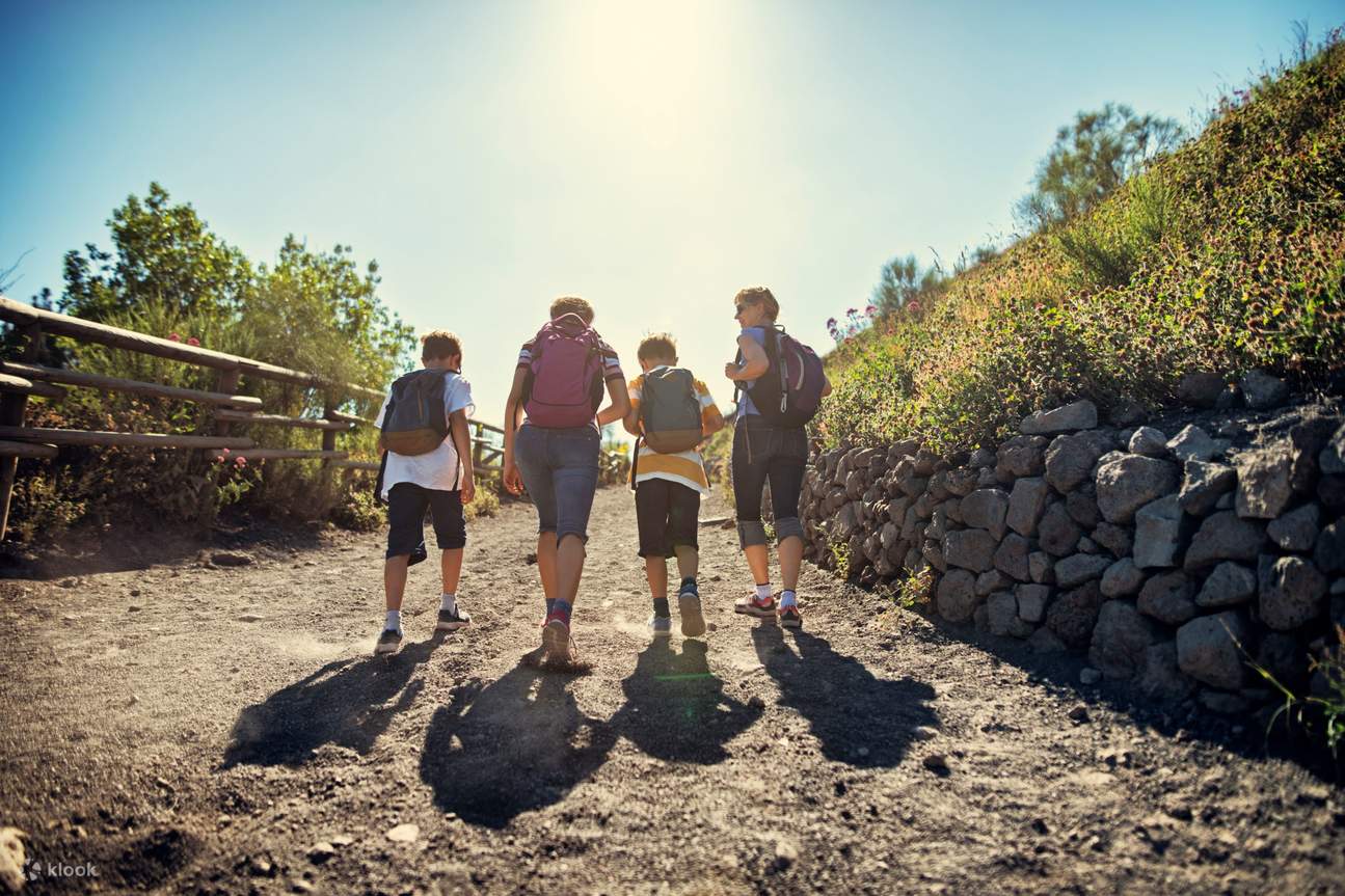Mount Vesuvius Tour from Naples - Klook United Kingdom