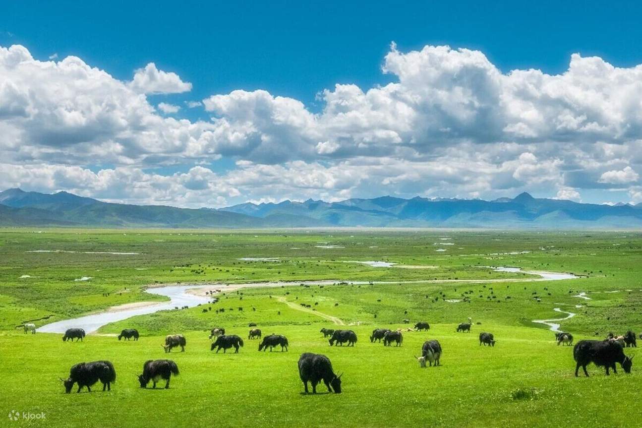 Yunnan Lijiang Yulong Snow Mountain Cableway Round Trip Day Tour ...