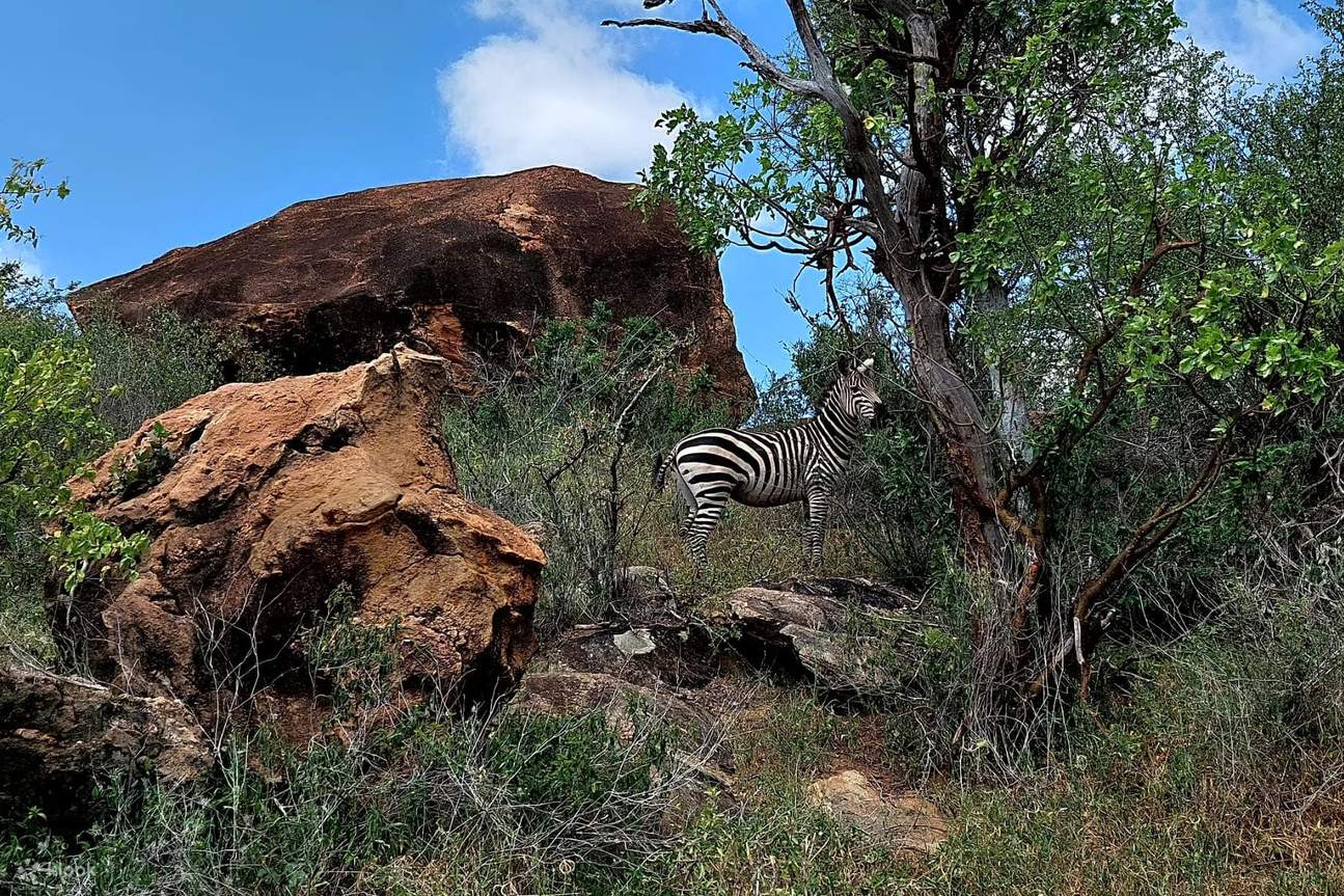 Hell's Gate Day Tour from Nairobi - Klook