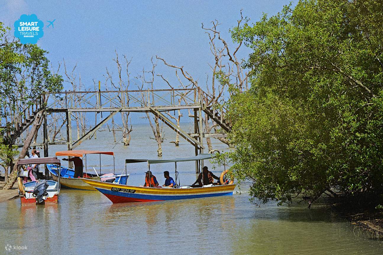 Explore la naturaleza salvaje de Borneo con la excursión de un día al ...