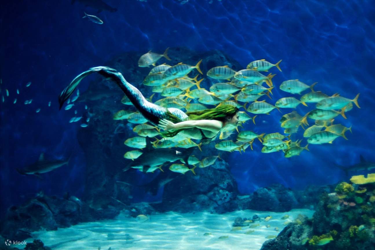 National Aquarium of Denmark, Den Blå Planet Ticket - Klook Philippines
