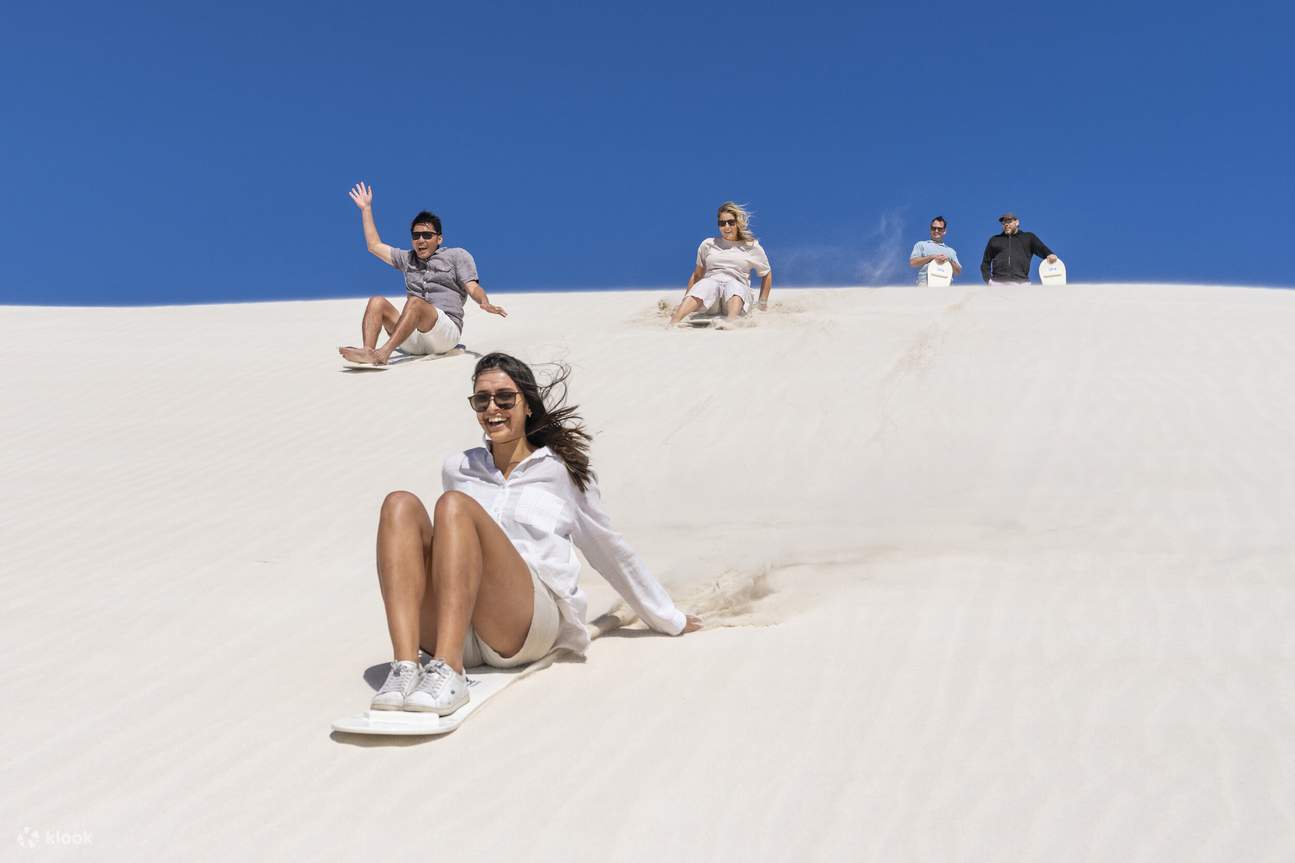 Pinnacles, Lancelin Sand Dunes & Wildlife Day Tour (Japanese Guide ...