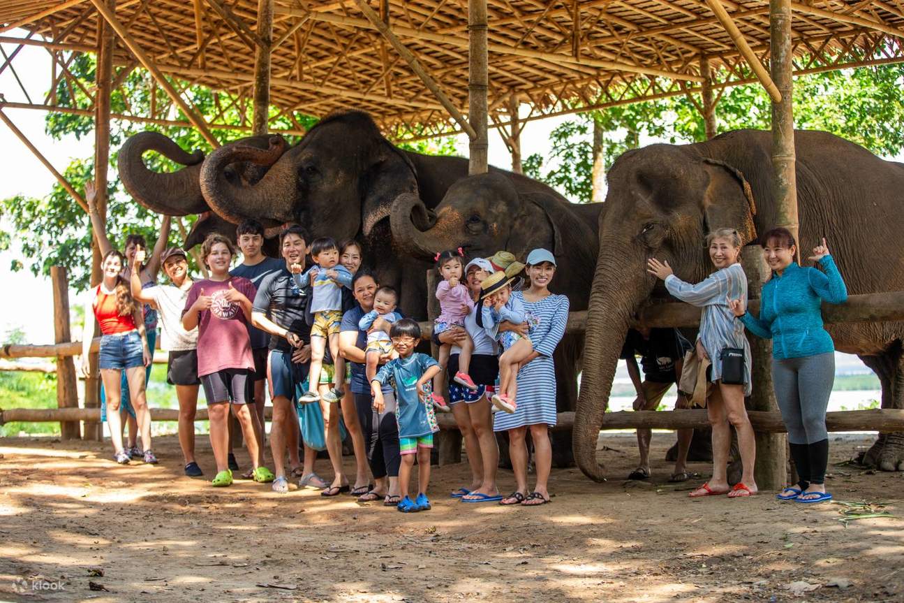 1 Day Join In Elephant Care Camp in Phuket - Klook